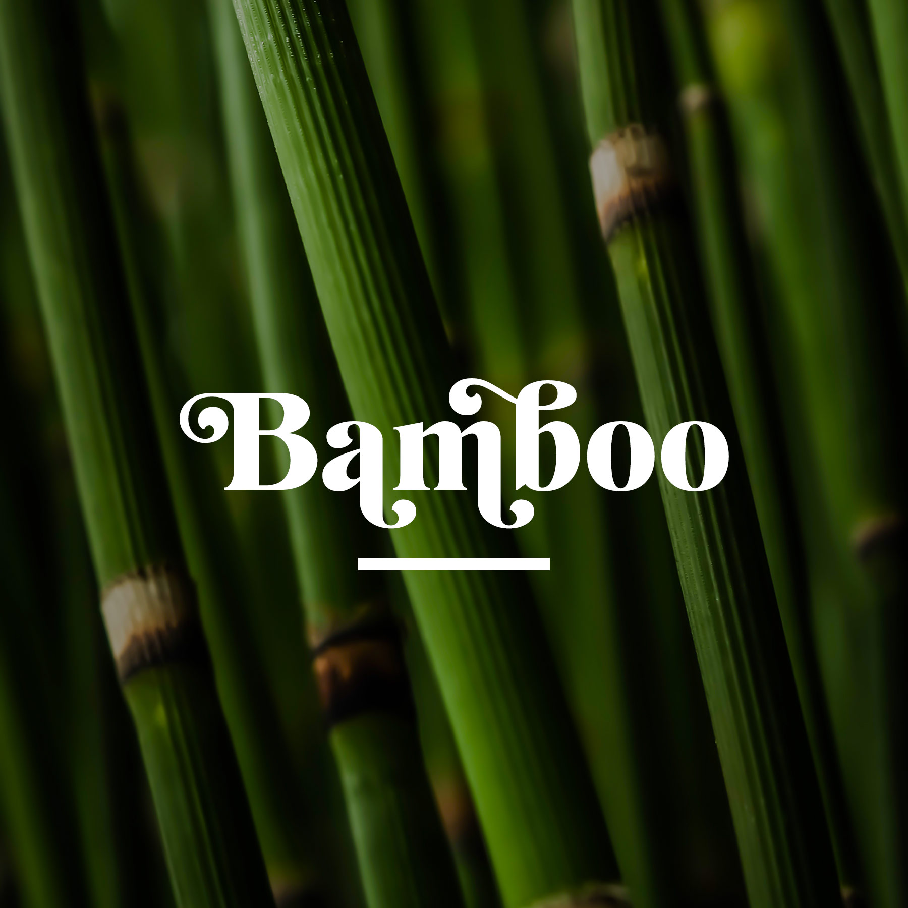 text-header-01 – High Rez Designs